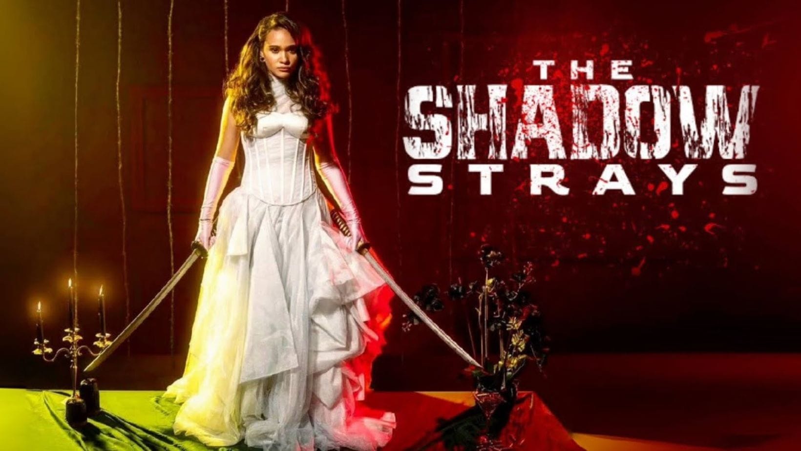 The Shadow Strays (2024): Plot, Cast, Release Date, and More About ...
